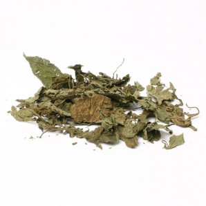 Salvia Divinorum | Akashma Online News